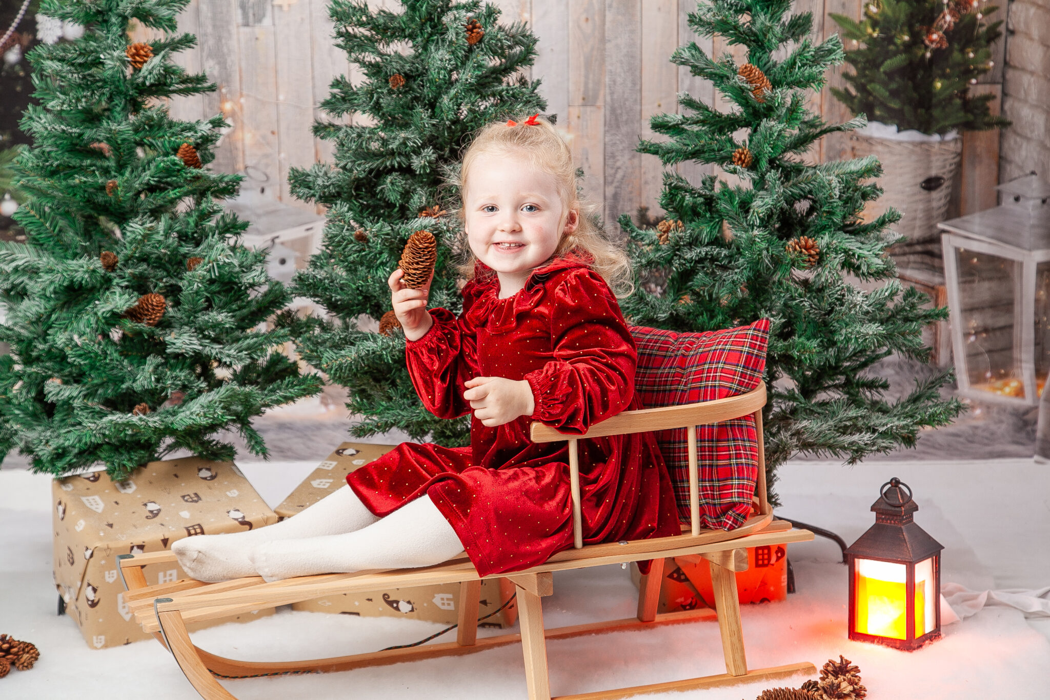 Christmas Mini Photo Shoots, Timeless Images, Bridgwater, Somerset